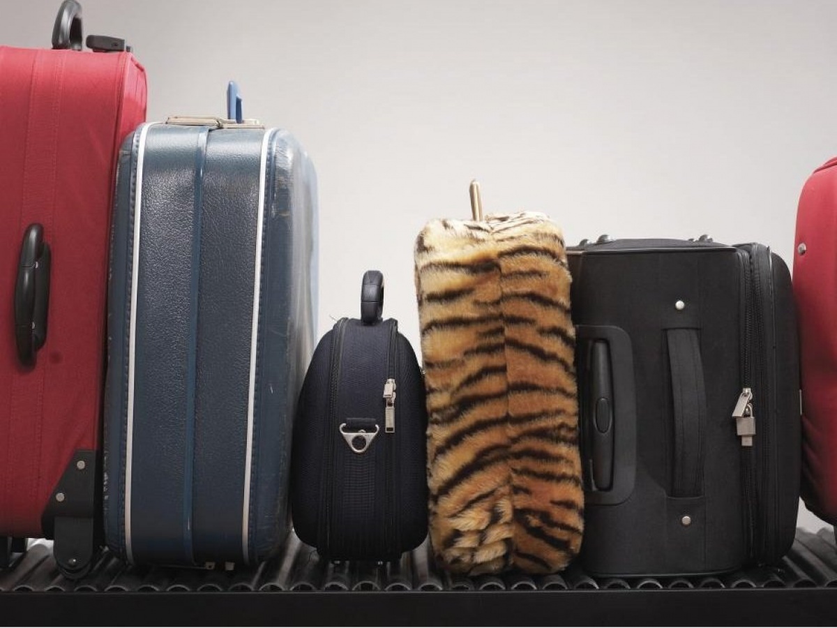 chemodan.az internet magazininin tarafdashlara topsaticilara etdigi teklifler